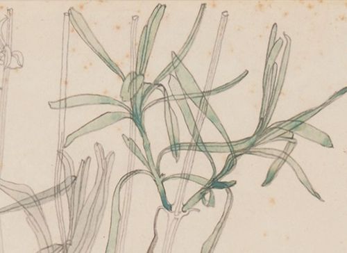 Charles Rennie Mackintosh Artworks Soar